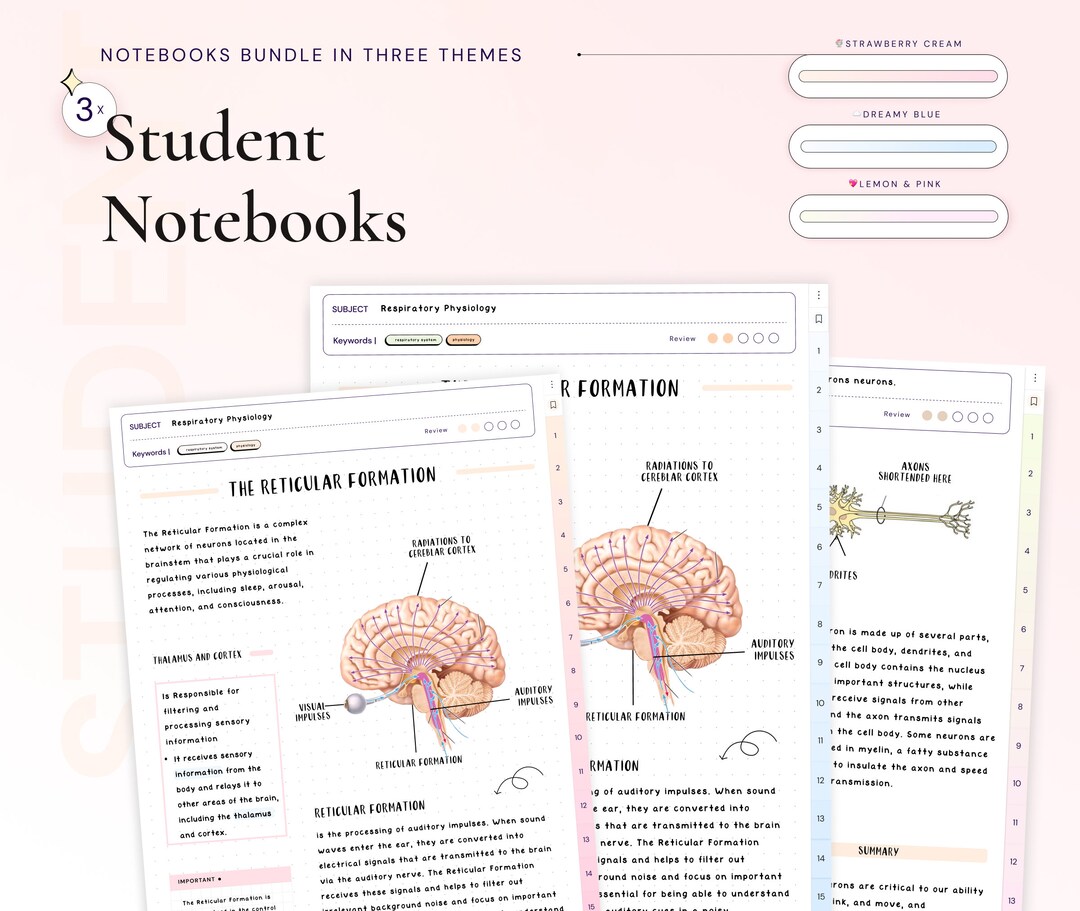 Student Digital Notebook Bundle Hyperlinked Notetaking - Etsy