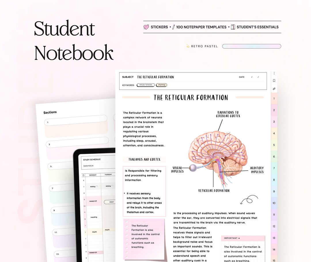 Student Digital Notebook Pastel Hyperlinked Goodnotes Templates Planner ...
