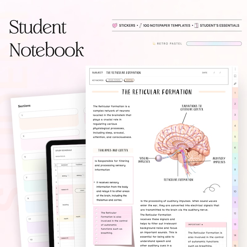 Goodnotes Template - Etsy