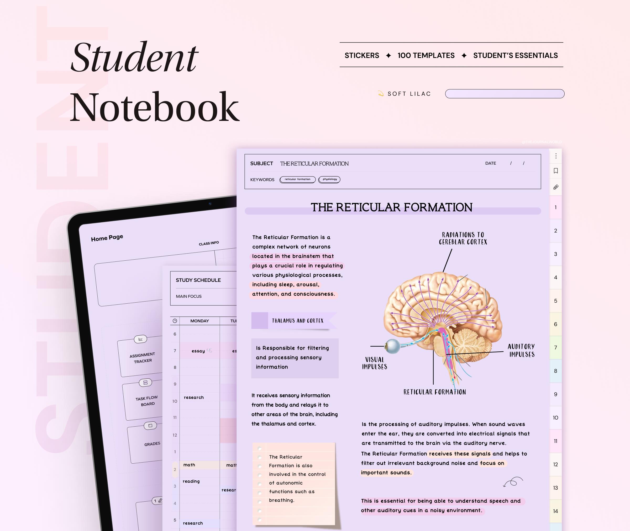 Student Digital Goodnotes Notebook, Minimal Planner, All in One iPad ...