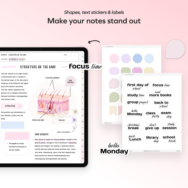 School Digital Stickers for Planner, Goodnotes Widget Student Sticker ...
