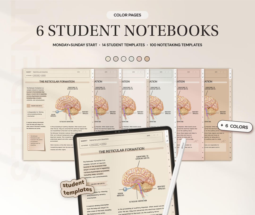 Student Digital Notebook Bundle, Goodnotes Templates, iPad Notebook ...