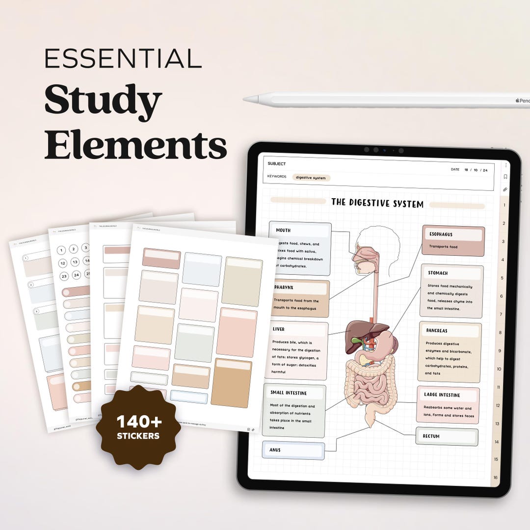 Study Digital Stickers for Student, Notebook Planner Goodnotes Widgets ...