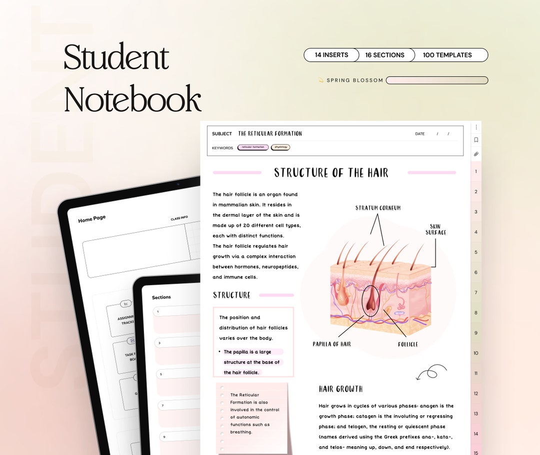 Student Digital Notebook Goodnotes iPad Notebook Notepaper Hyperlinked ...