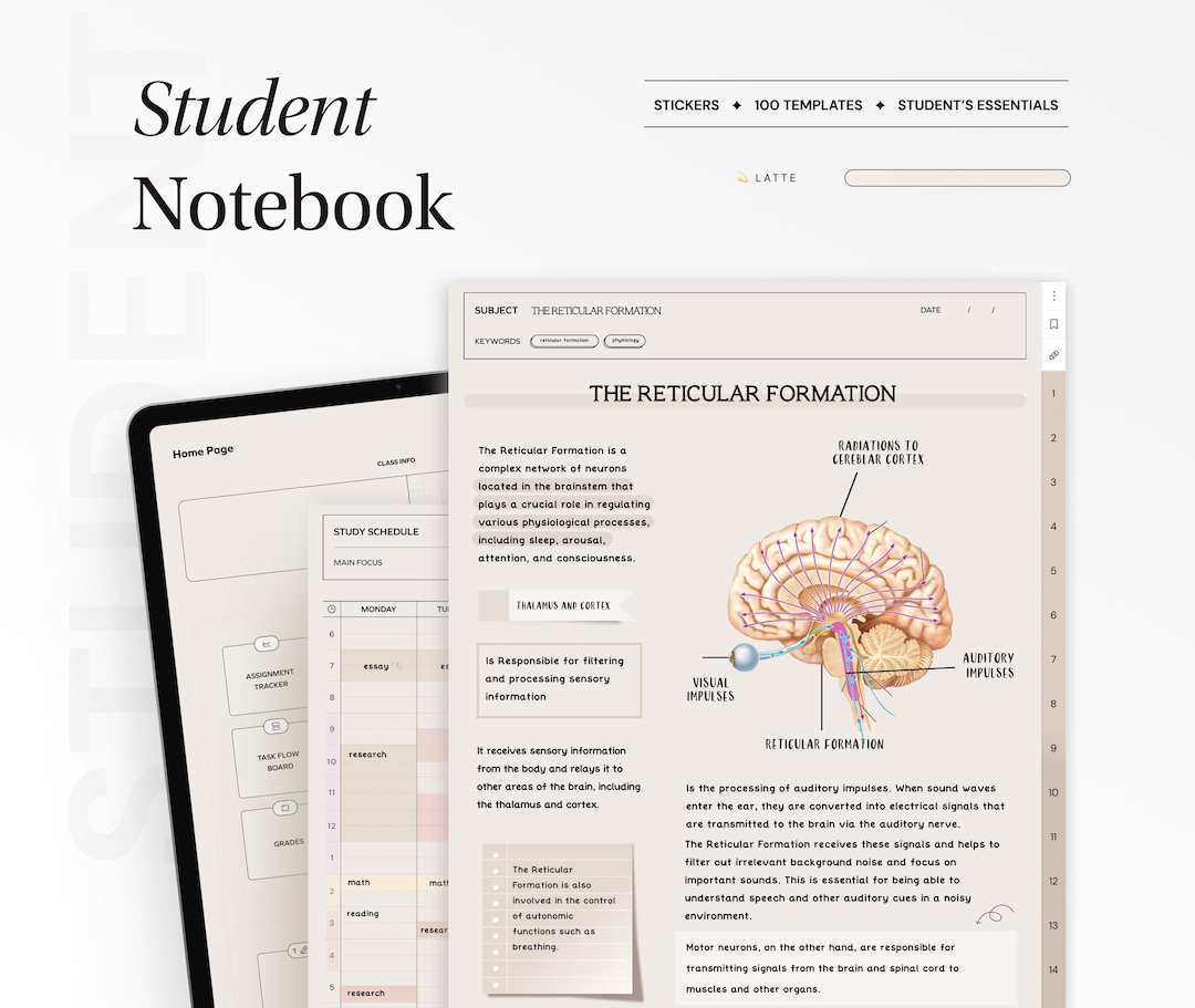 Student Digital Notebook, Minimalist Note Paper Hyperlinked Notetaking ...