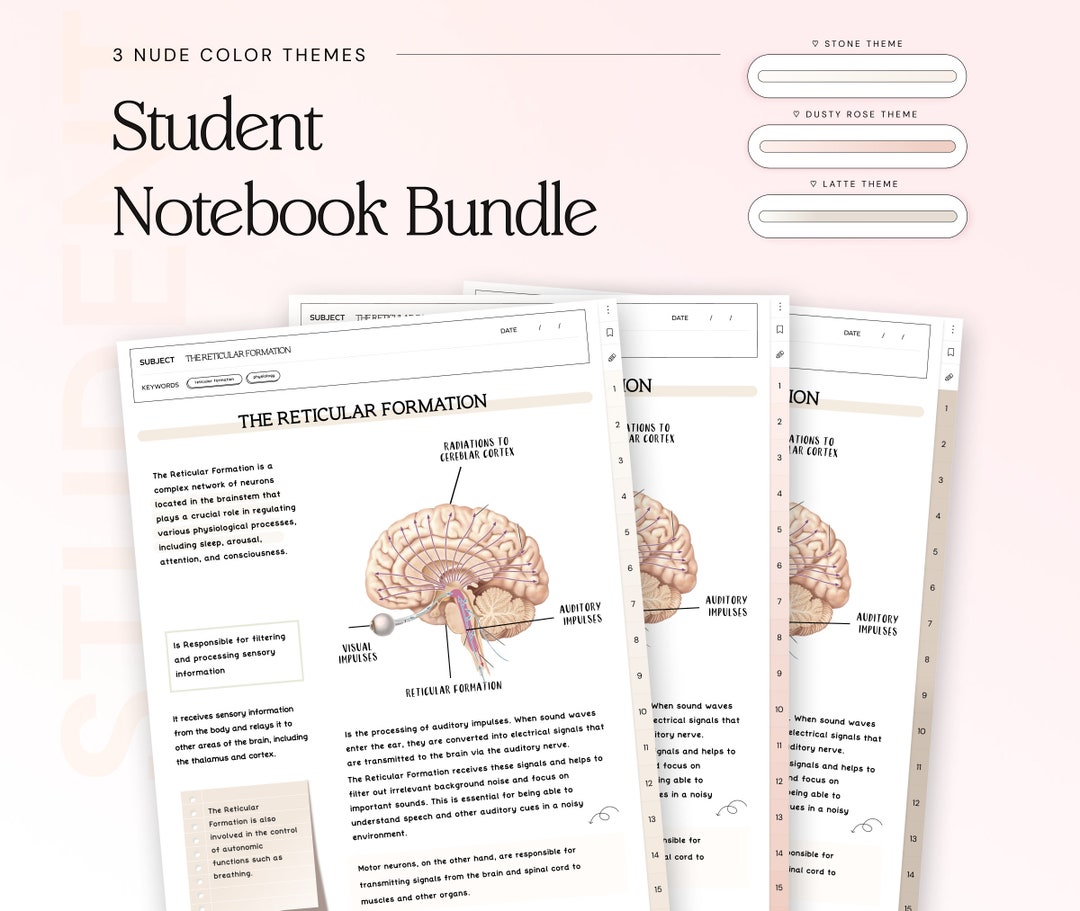 Student Digital Notebook Bundle, Minimalist Notetaking Templates for ...