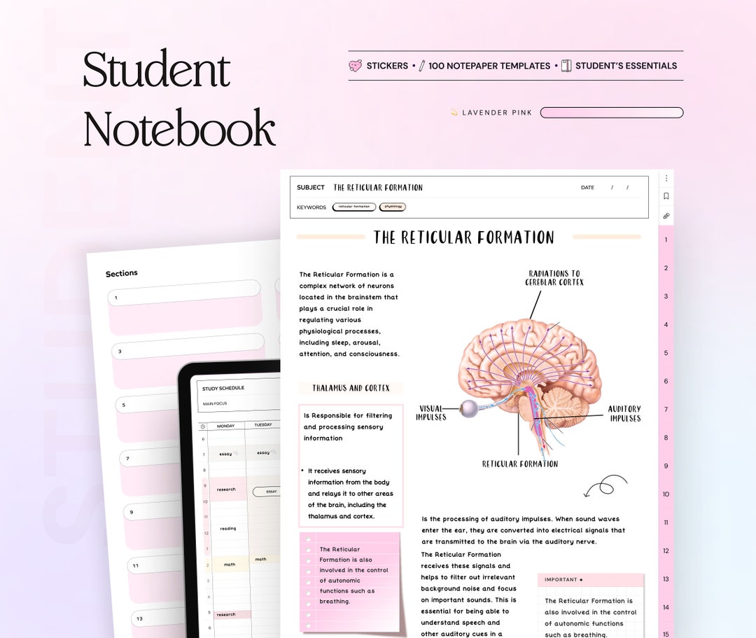 Student Digital Notebook Goodnotes iPad Notebook Notepaper Hyperlinked ...