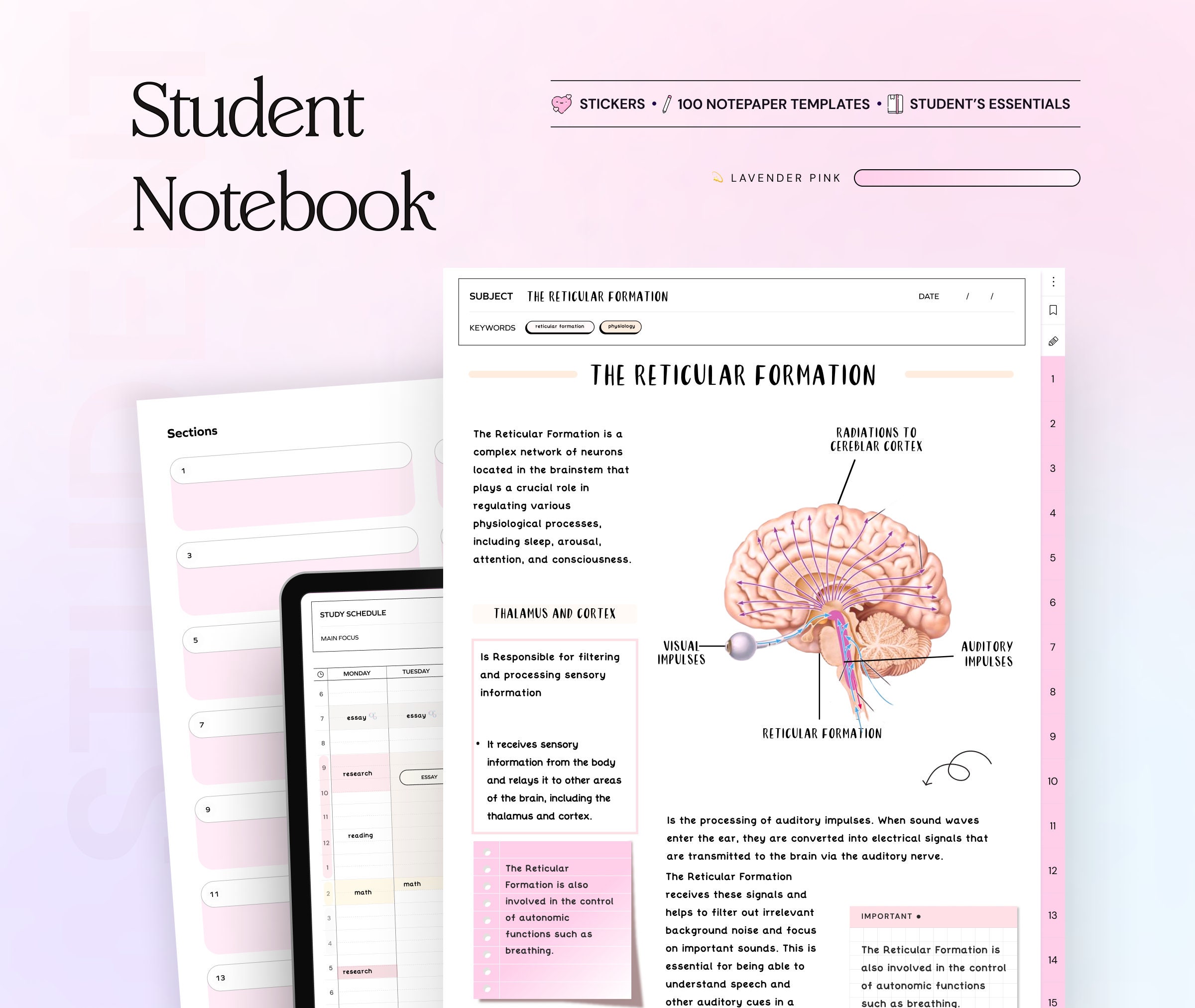 Student Digital Notebook Goodnotes iPad Notebook Notepaper Hyperlinked ...