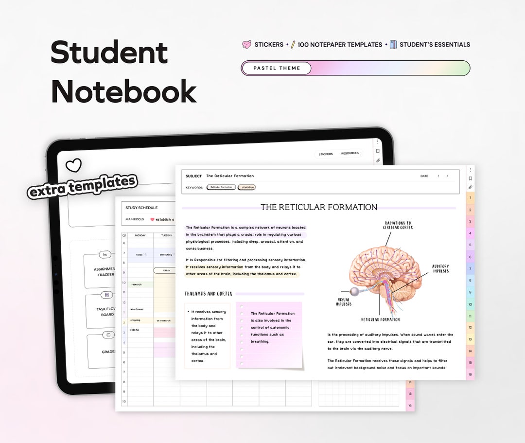 Student Digital Notebook Colorful Hyperlinked Goodnotes Landscape ...