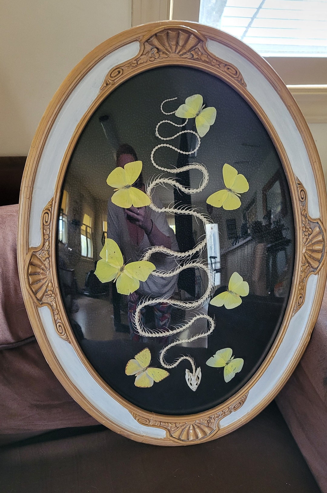 Bubble Frame With Viper and Butterflies - Etsy
