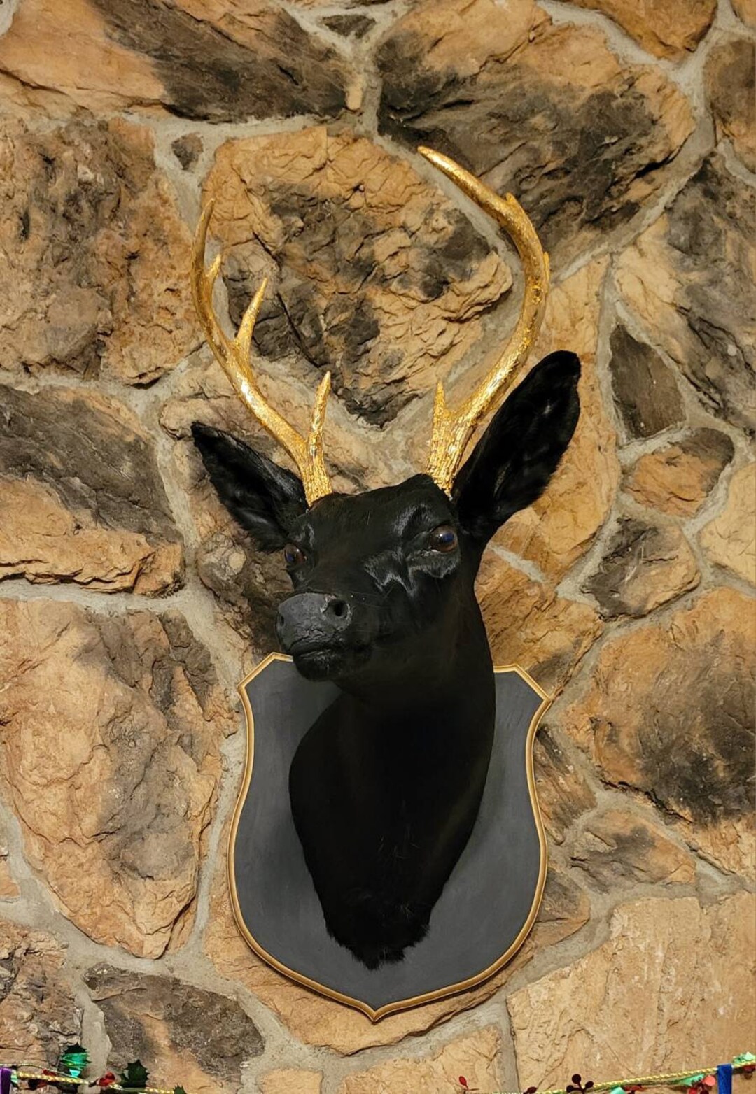Real Taxidermy Black Stag - Etsy