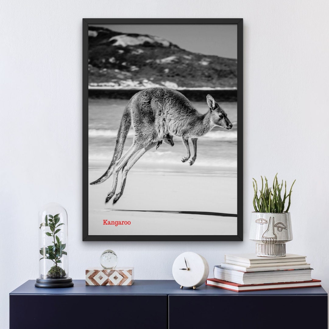 Kangaroo Digital Wall Art, Animals Collection Printable Downloads ...