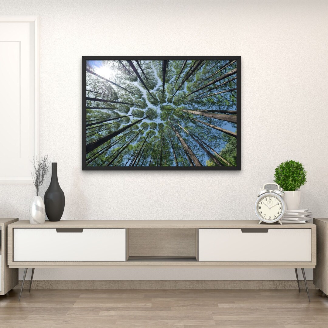 Tall Trees Digital Wall Art, Nature/botanical Collection Printable ...