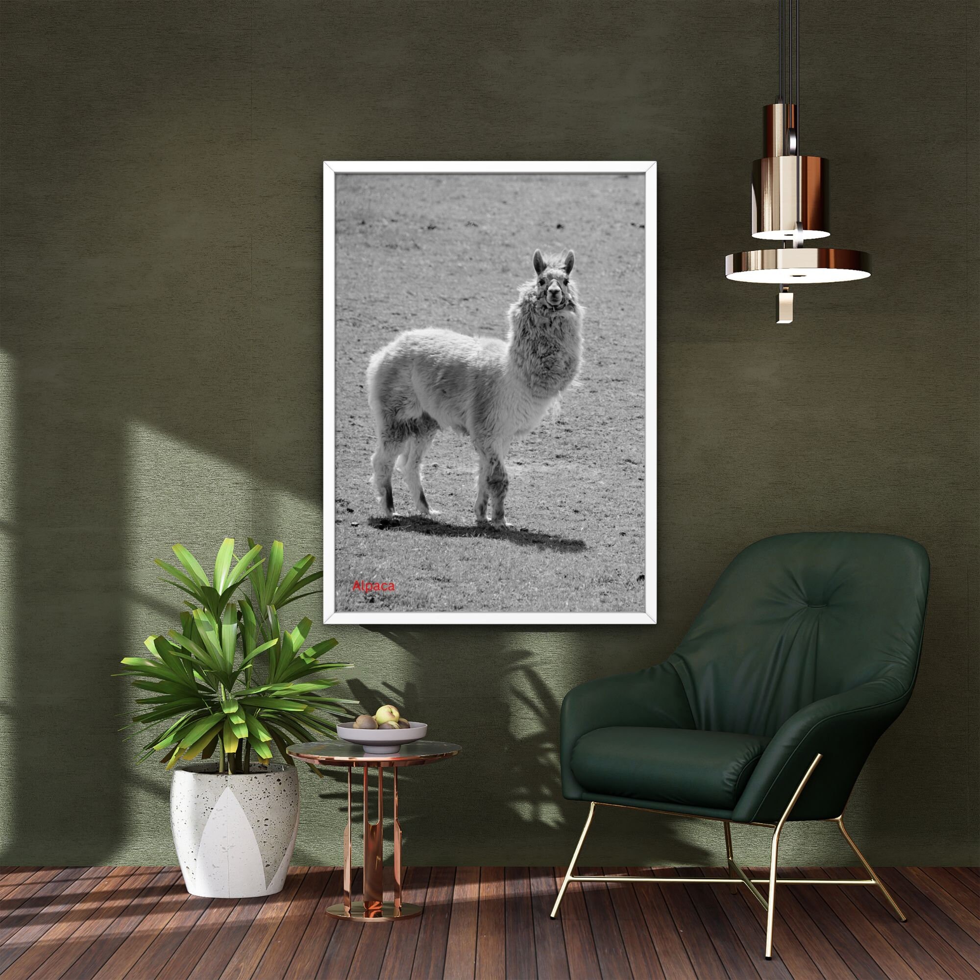 Alpaca Digital Wall Art, Animals Collection Printable Downloads, Alpaca ...