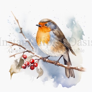Winter Robin Clipart, 10 High Quality Jpgs, Nursery Art, Instant ...