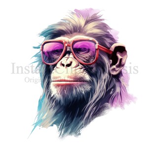 Cool Monkeys Clipart, 10 High Quality Pngs, Nursery Art, Digital ...