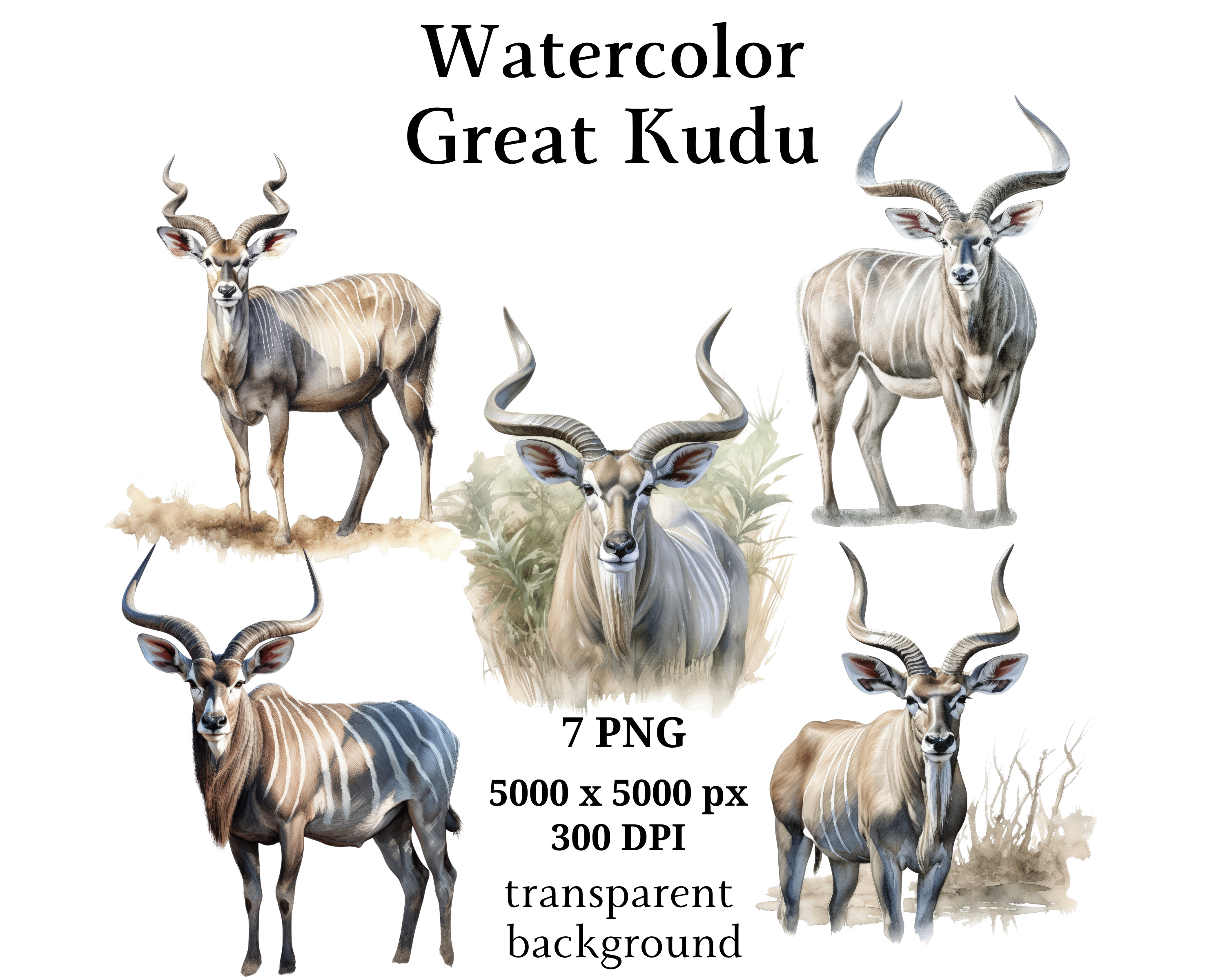 Greater Kudu Clip Art