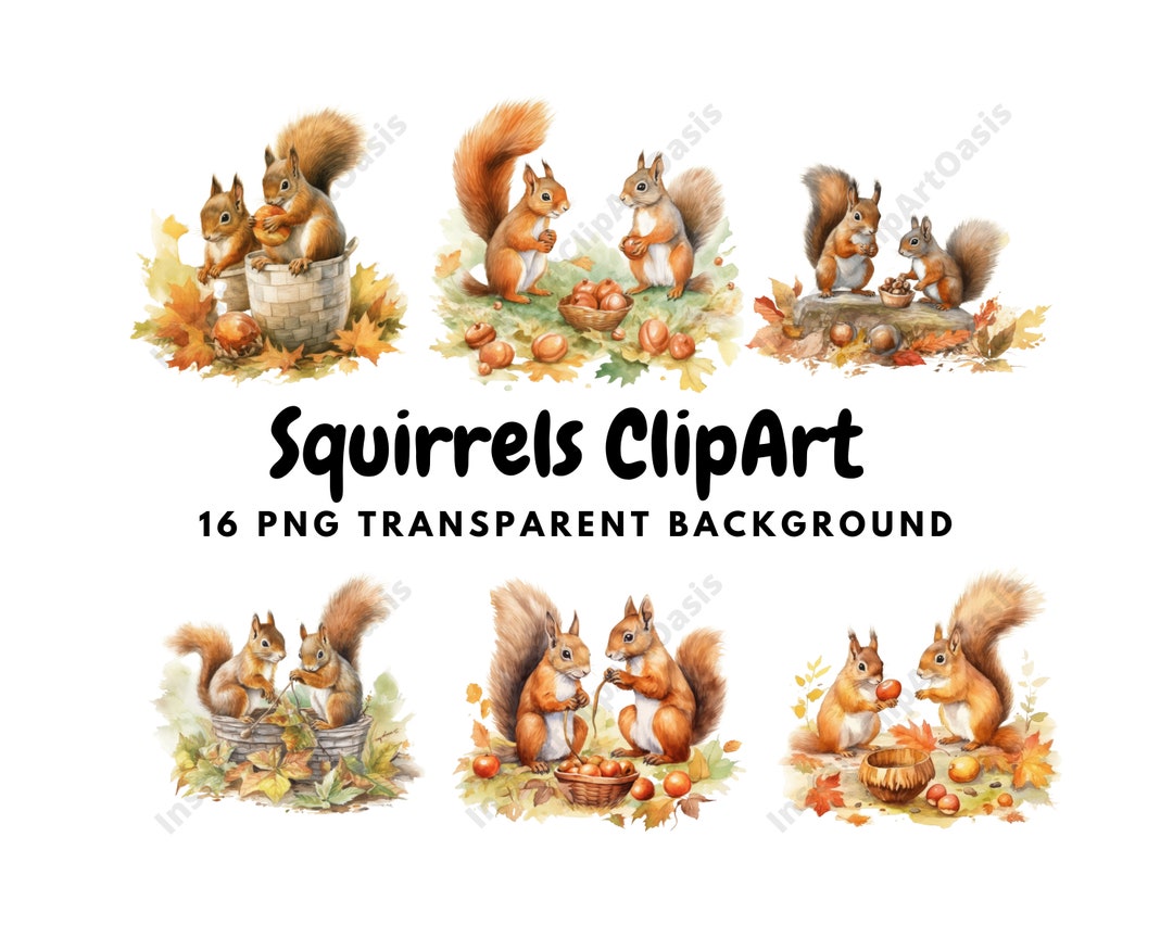 Watercolor Squirrels Clipart, 16 High Quality Pngs, Cute Squirrels ...