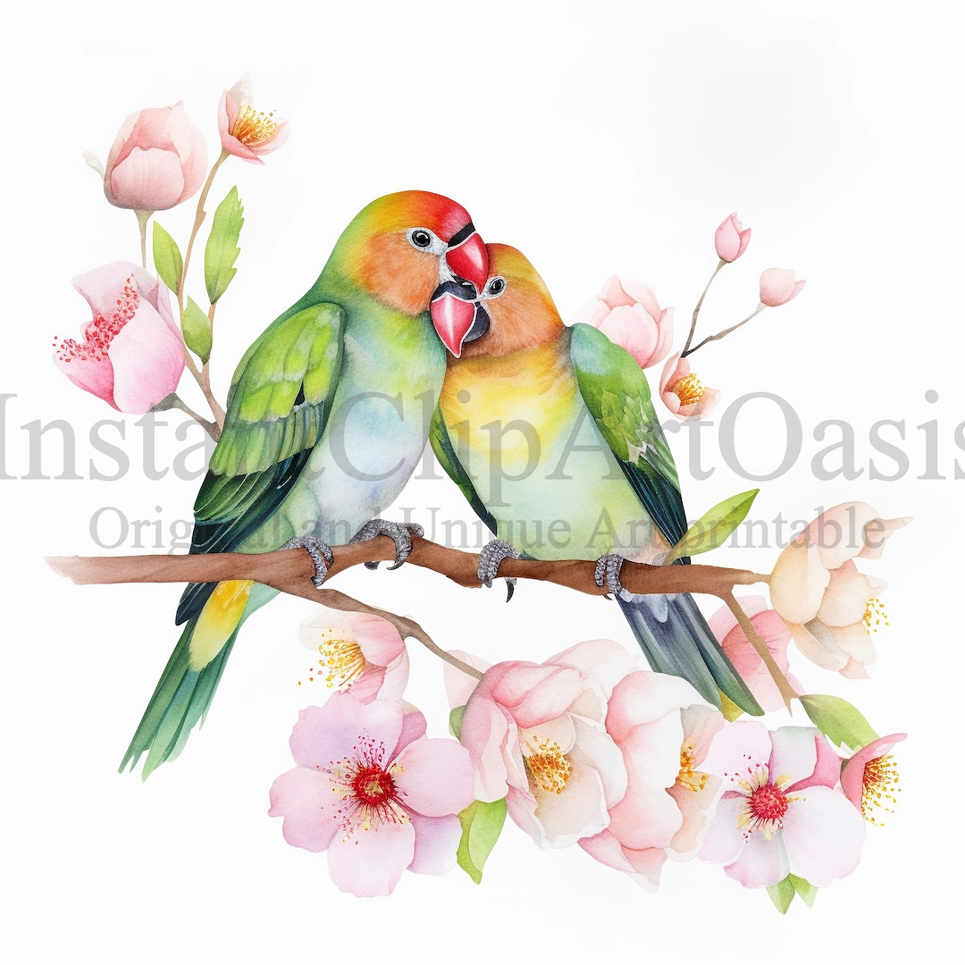 Lovebirds Clipart, 10 High Quality Jpgs, Nursery Art, Digital Download ...