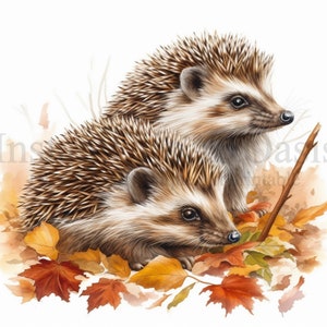 Hedgehogs in Autumn Leaves Clipart, 8 High Quality Jpgs, Nursery Art ...