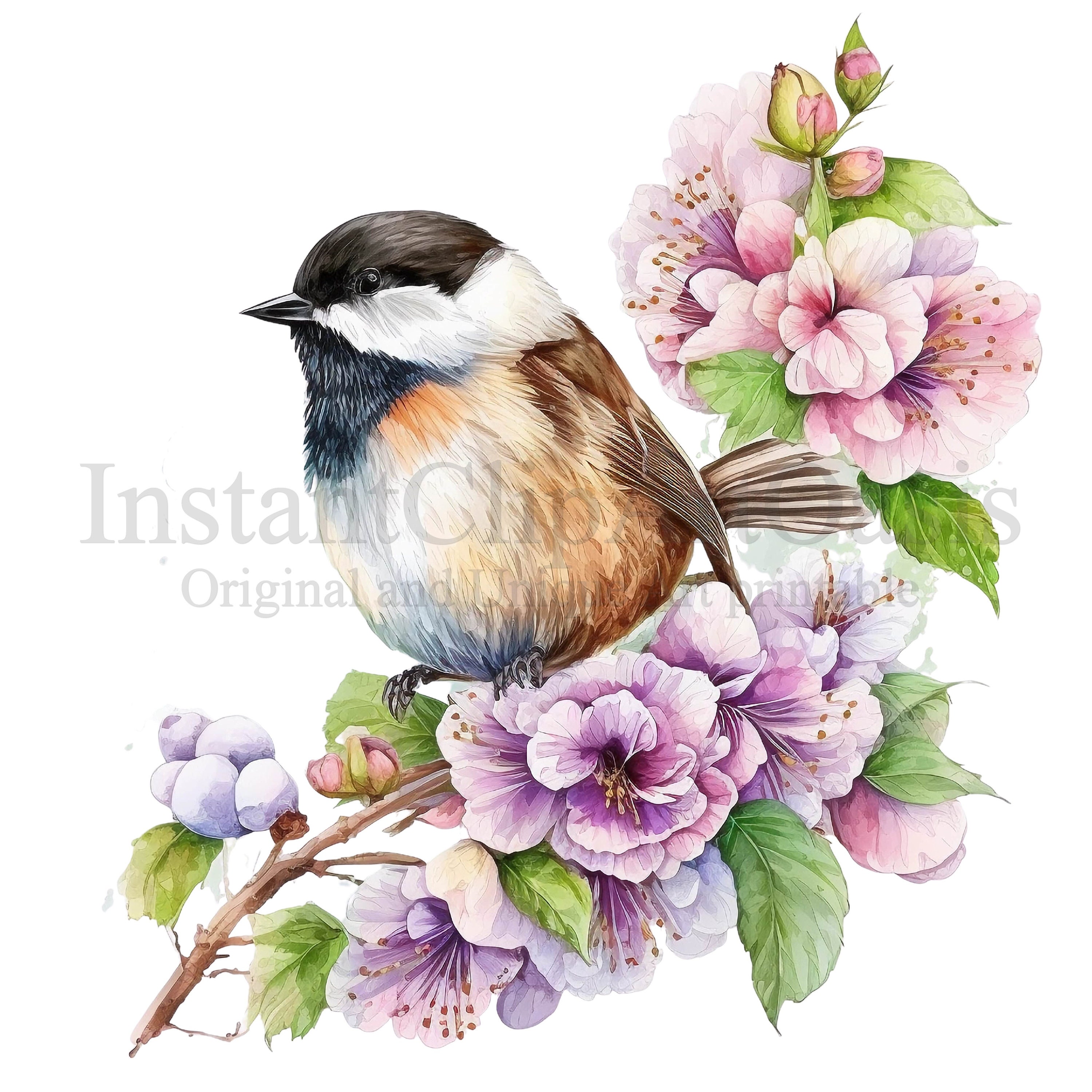 Chickadee Clipart, 10 High Quality Pngs, Nursery Art, Digital Download ...