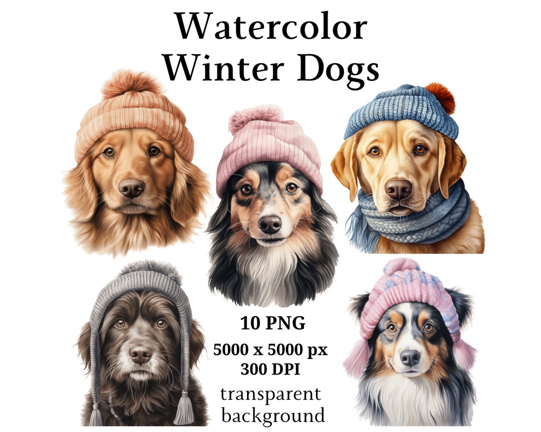 Winter Dogs Clipart, 10 High Quality Pngs, Digital Planners, Junk ...