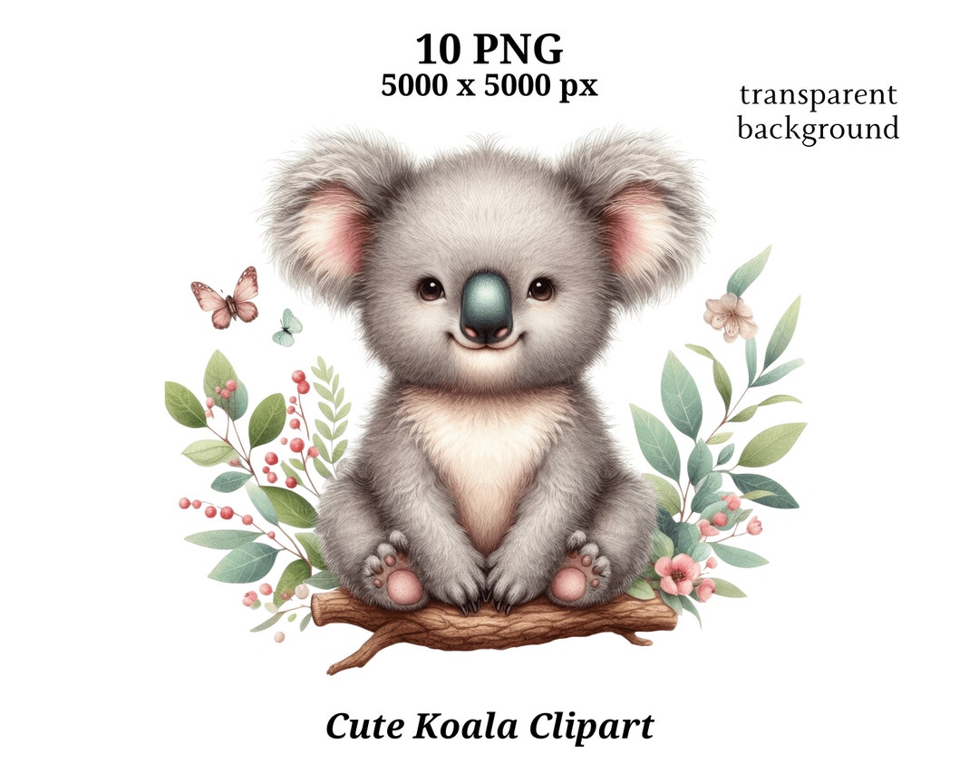 Cute Koala Clipart, 10 High Quality Pngs, Nursery Art, Digital Planner ...