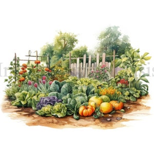 Vegetable Garden Clipart, 10 High Quality Jpgs, Farmyard Clipart ...