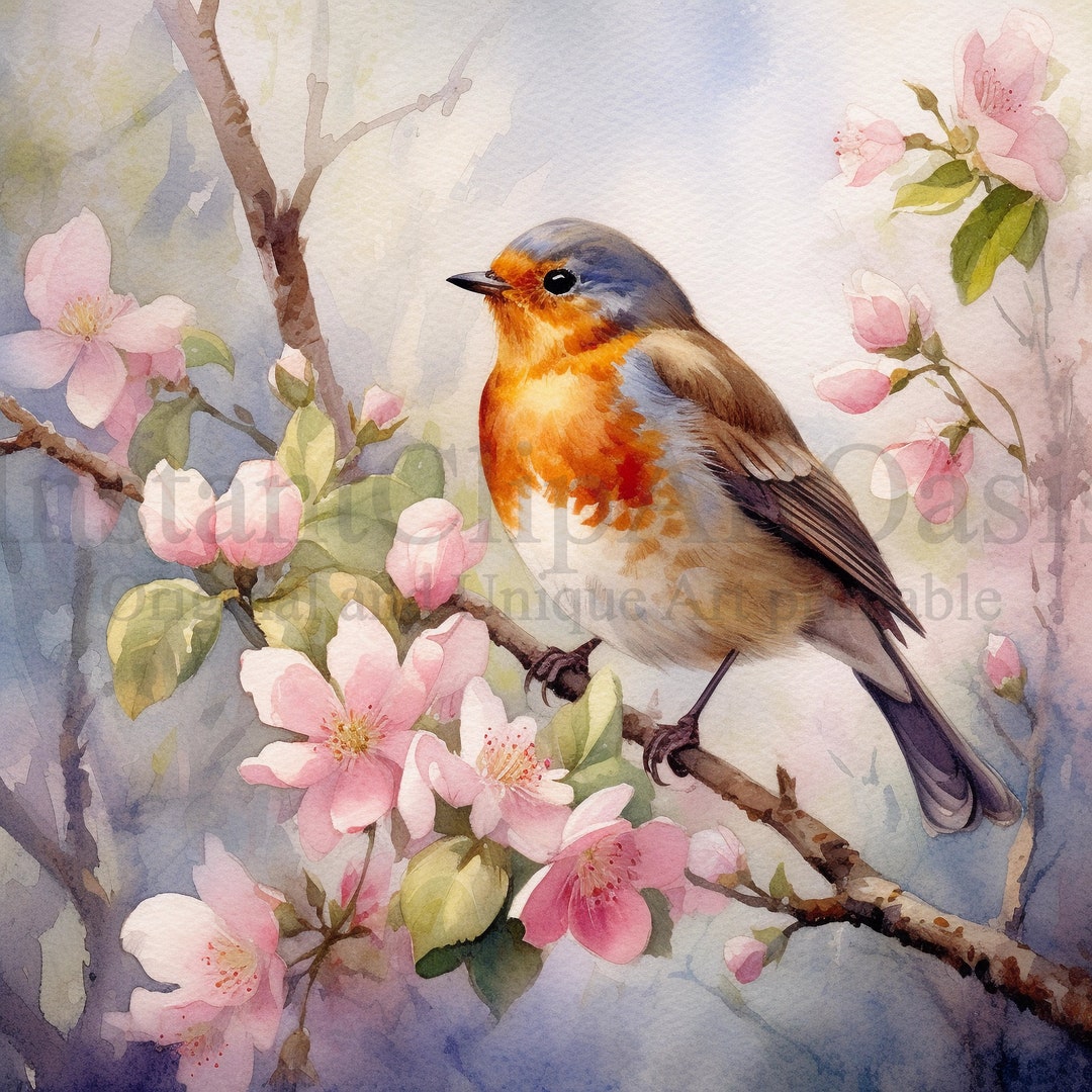 Spring Robin Clipart, 10 High Quality Jpgs, Nursery Art, Instant ...