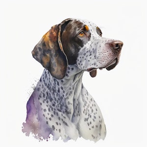English Pointer Clipart, 8 High Quality Jpgs, Nursery Art, Digital ...