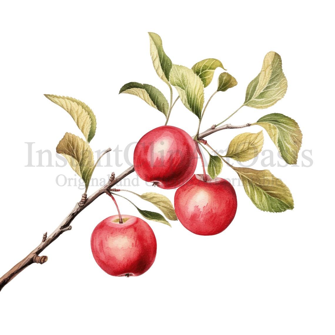 Apple Branches Clipart - 10 High Quality Pngs, Digital Download ...