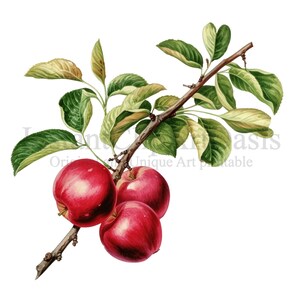 Apple Branches Clipart - 10 High Quality Pngs, Digital Download ...