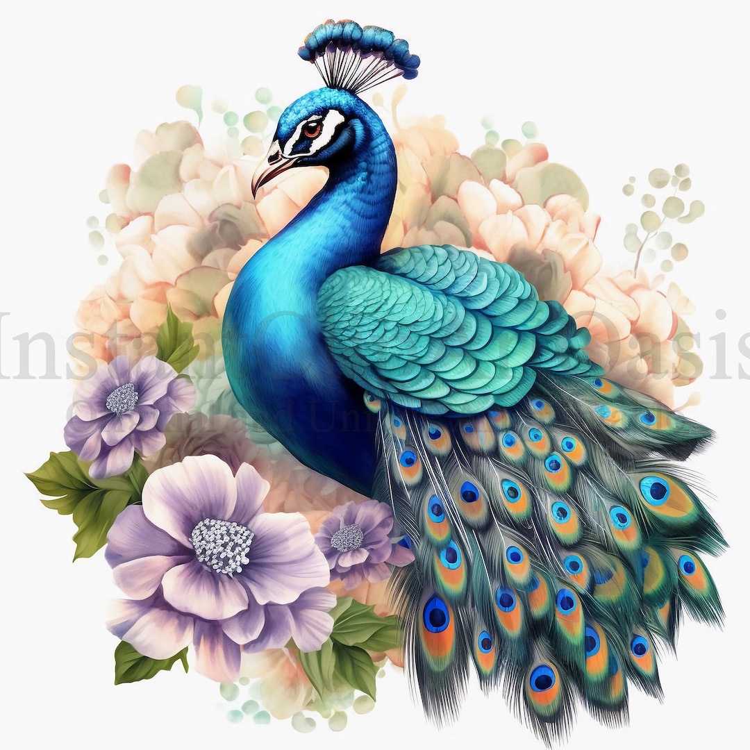 Floral Peacock Clipart, 10 High Quality Jpgs, Nursery Art, Card Making ...
