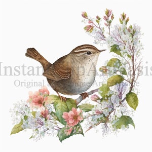 Wren Clipart, 10 High Quality Jpgs, Nursery Art, Instant Digital ...