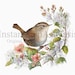 Wren Clipart, 10 High Quality Jpgs, Nursery Art, Instant Digital ...