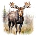 Moose Clipart, 10 High Quality Jpgs, Nursery Art, Digital Download ...