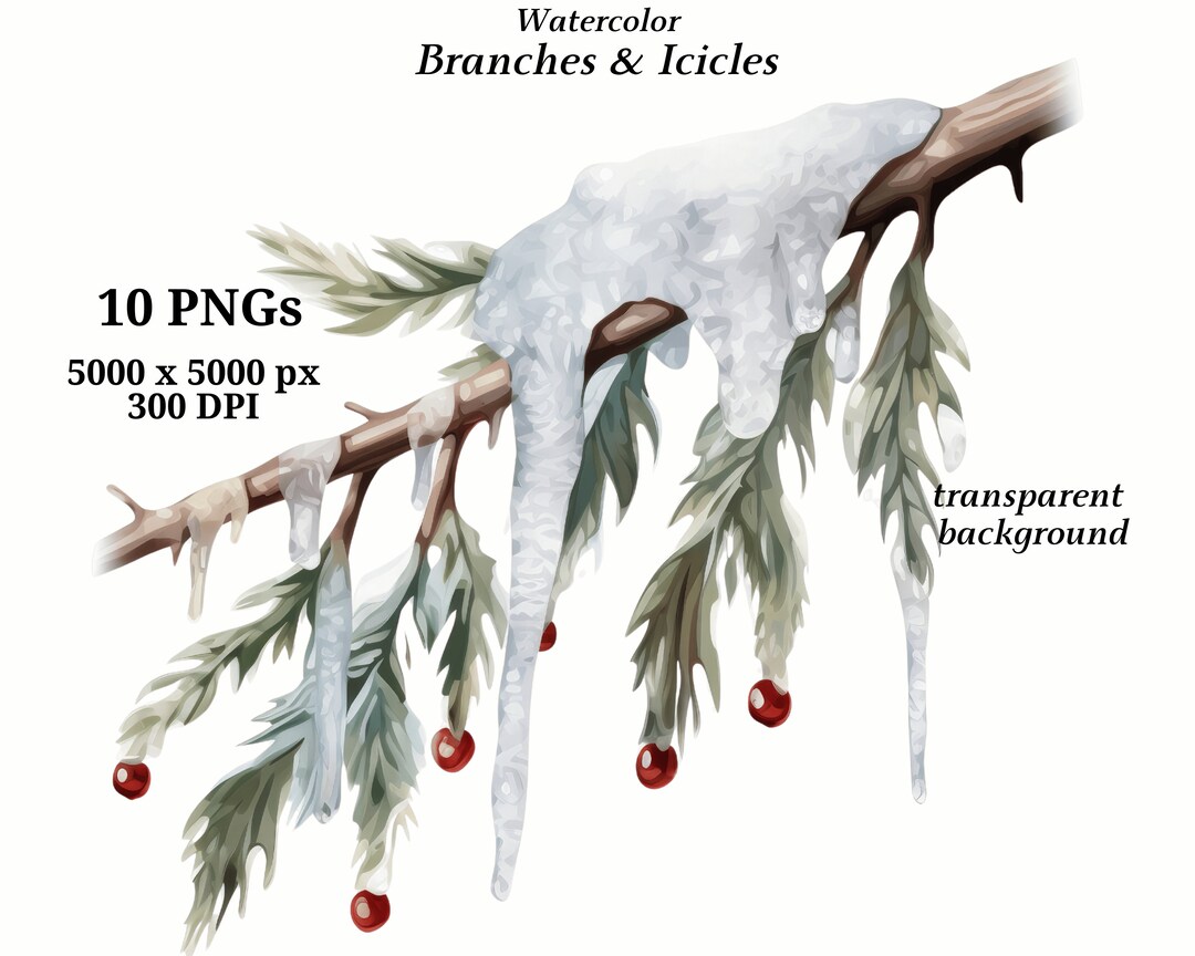 Branch & Icicles Clipart, 10 High Quality Pngs, Botanical Art, Digital ...