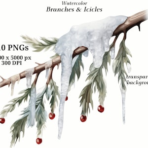 Branch & Icicles Clipart, 10 High Quality Pngs, Botanical Art, Digital ...