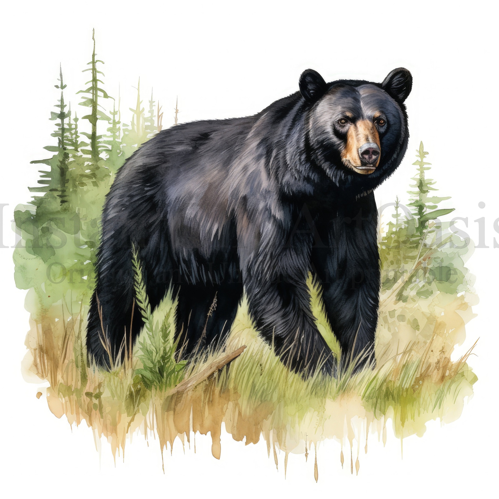 Watercolor Black Bear Clipart, 10 High Quality Jpgs, Nursery Art | Card ...