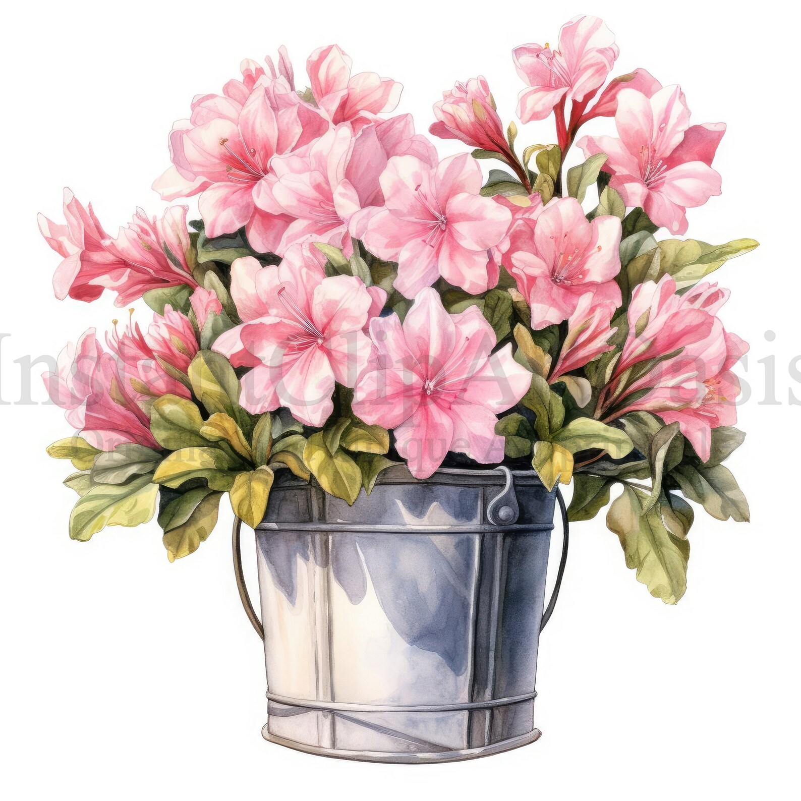 Azalea Bucket Clipart, 13 High Quality Jpgs, Card Making, Azalea Clip ...