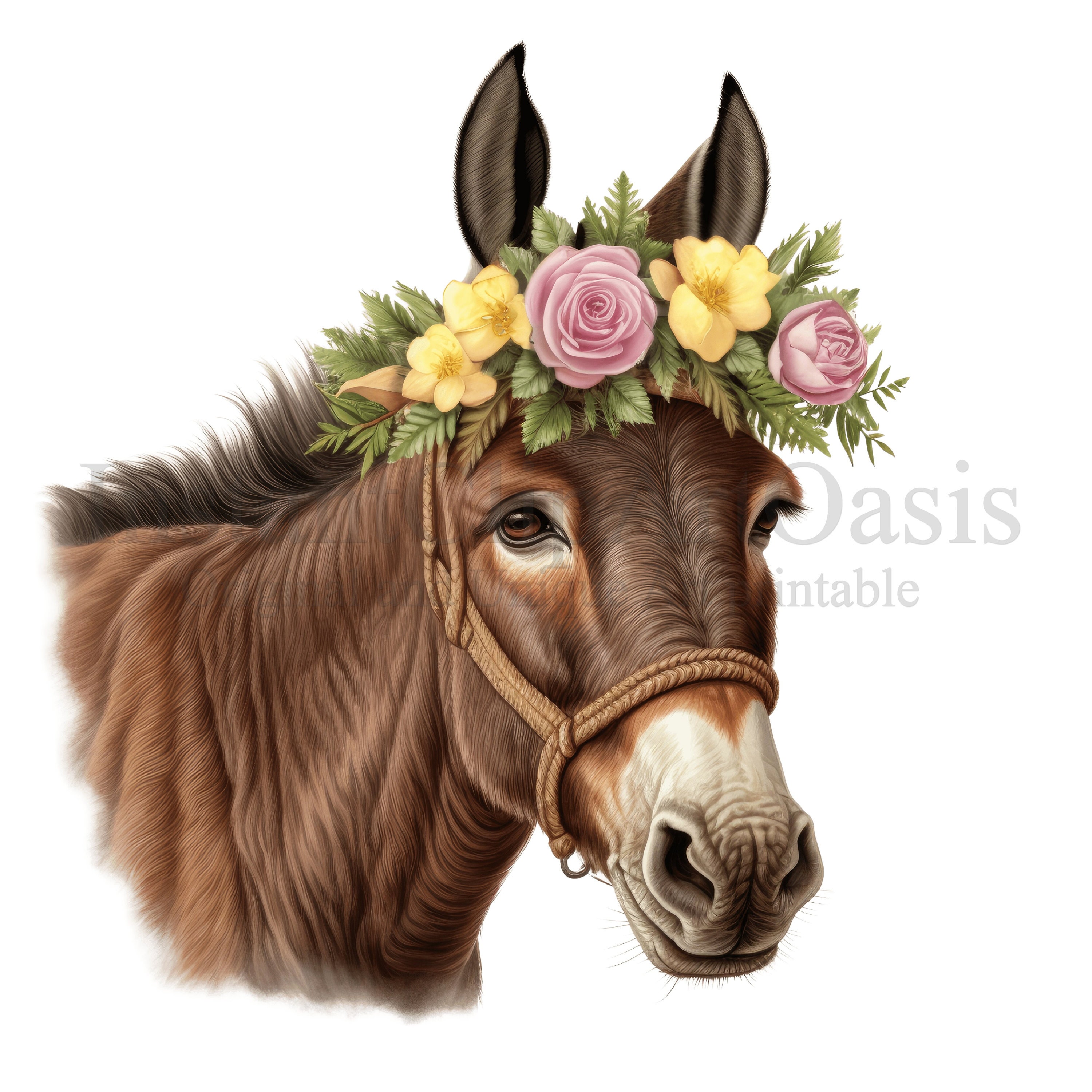 Donkeys With Flower Crown Clipart, 10 High Quality Pngs, Digital ...