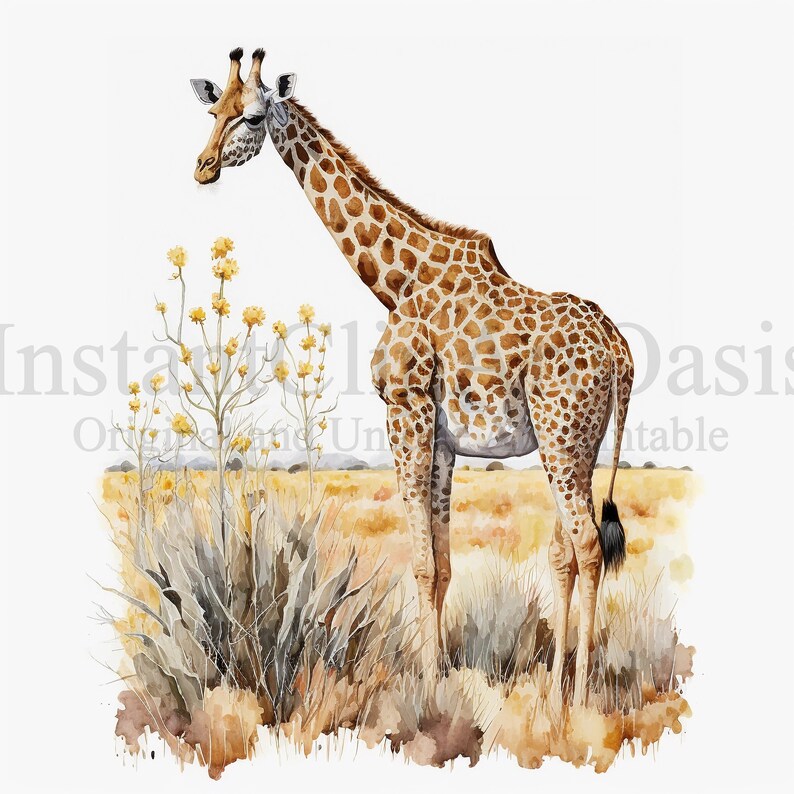 Giraffe Clipart, 9 High Quality Jpgs, Digital Download, Card Making ...