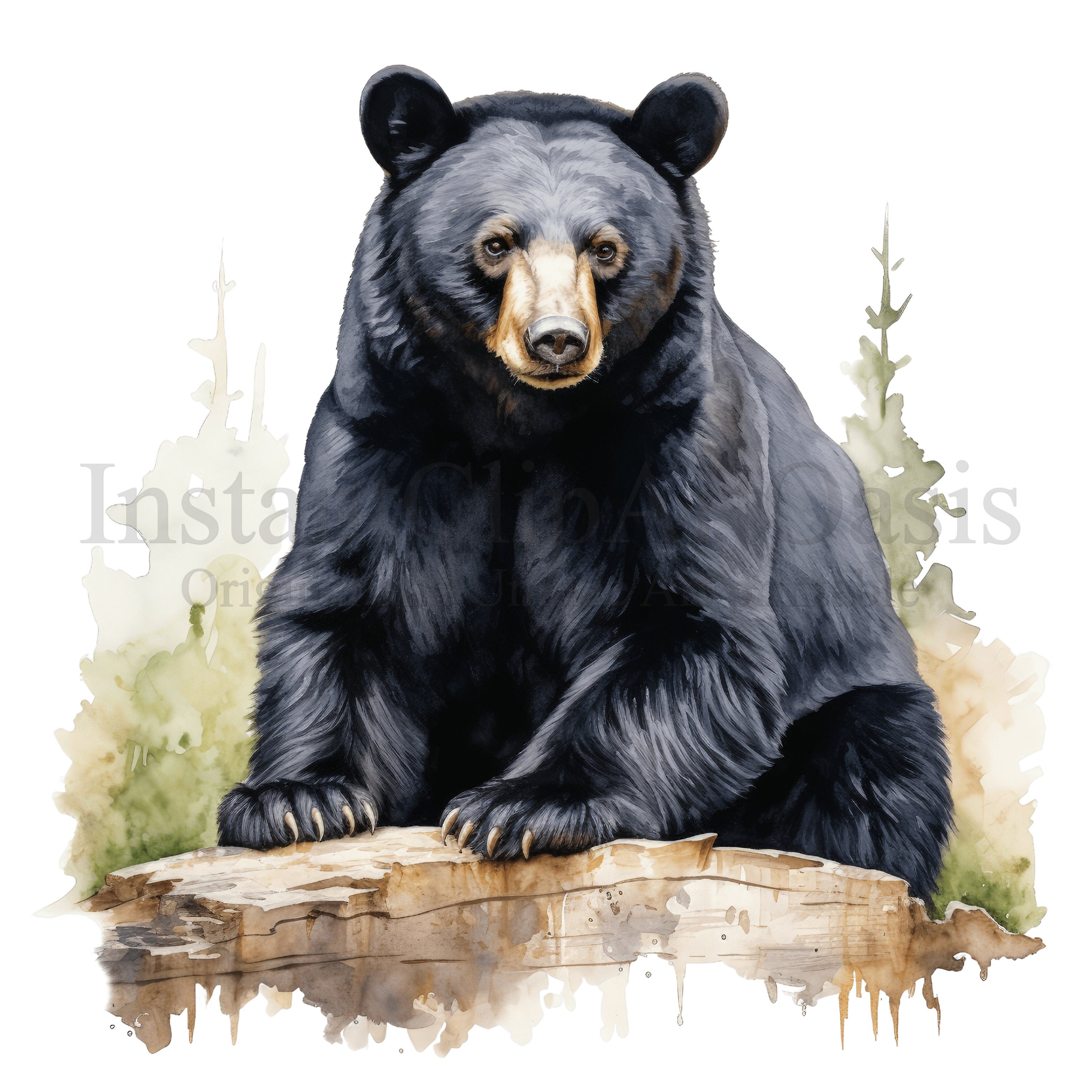 Watercolor Black Bear Clipart, 10 High Quality Pngs, Nursery Art | Card ...