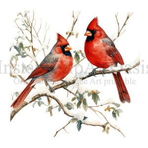 Winter Red Cardinals Clipart, 10 High Quality Jpgs, Instant Digital ...