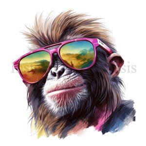 Cool Monkeys Clipart, 10 High Quality Pngs, Nursery Art, Digital ...