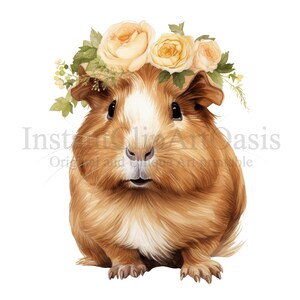 Cute Guinea Pig Clipart, 9 High Quality Pngs, Nursery Art | Card Making ...