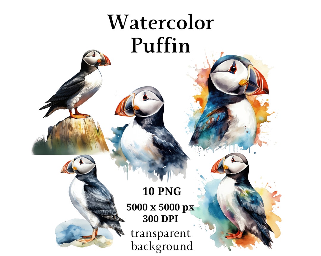 Puffin Clipart, 10 High Quality Pngs Transparent Background, Nursery ...