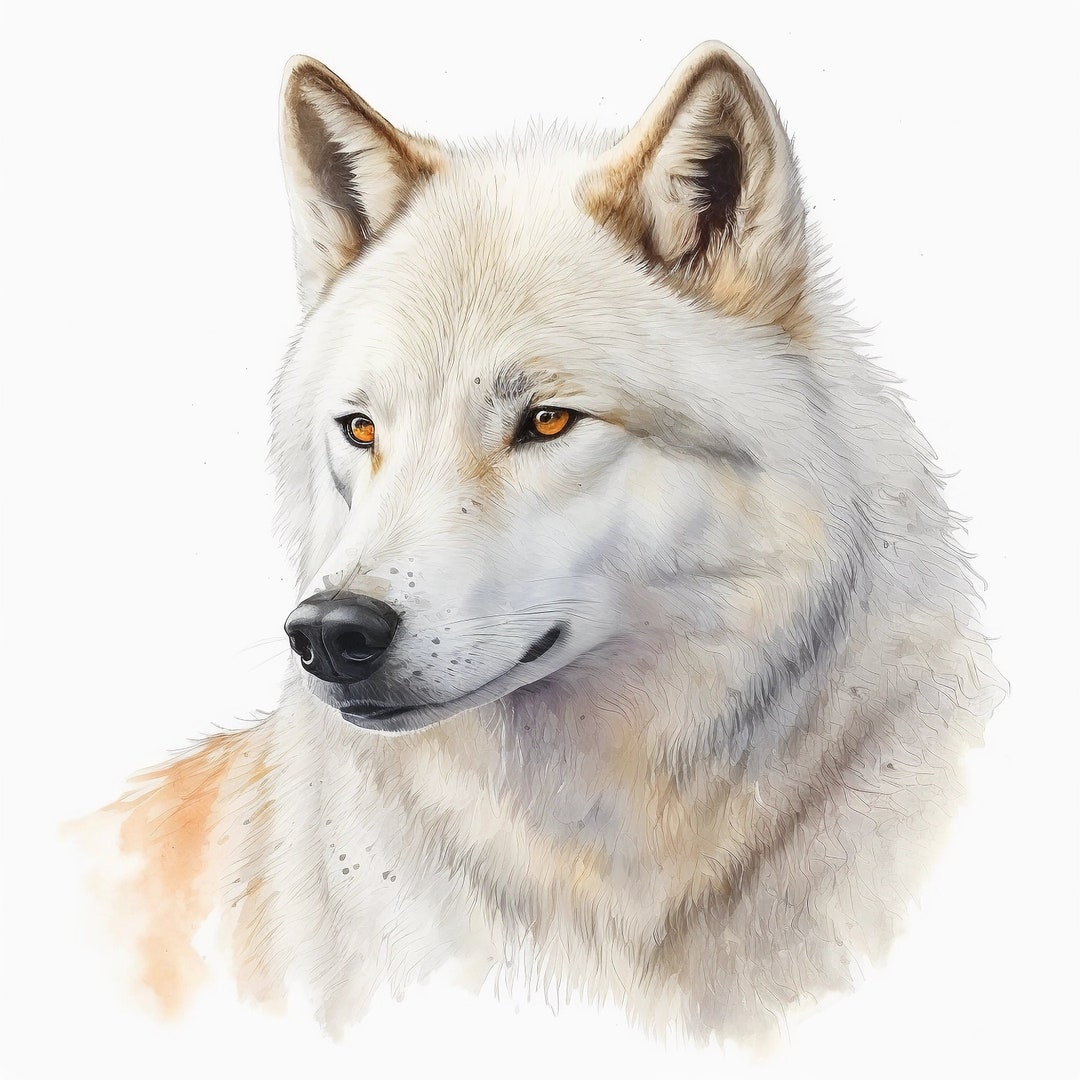 White Wolf Clipart 10 High Quality Jpgs Nursery Art Instant - Etsy