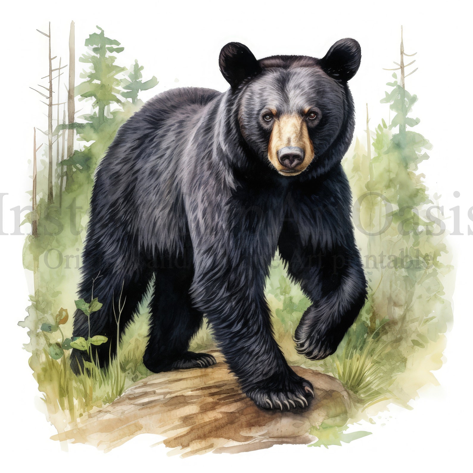 Watercolor Black Bear Clipart, 10 High Quality Jpgs, Nursery Art | Card ...