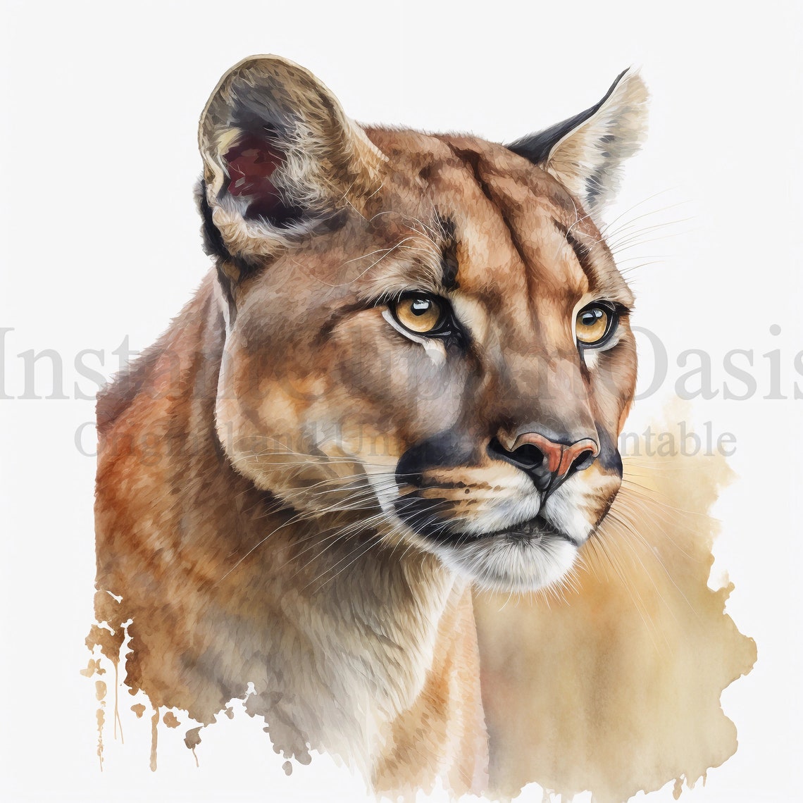 Cougar Clipart, 10 High Quality Jpgs, Nursery Art, Instant Digital ...